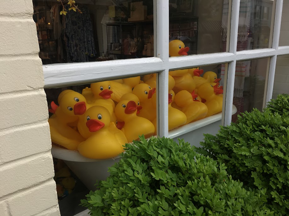 ducks.Bgj4vpSr.jpg